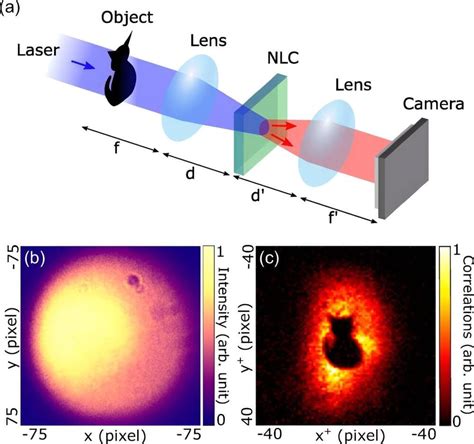 Entangled Photon Pairs Enable Hidden Image Encoding Lifeboat News The Blog