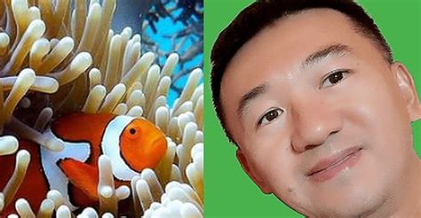 One To One Ib Math Exam Preparation Topic Geometry Of 3d Shapes