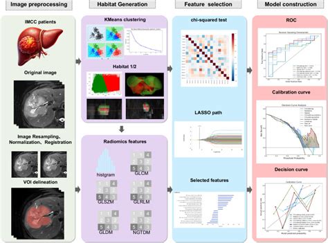 Mri Based Quantification Of Intratumoral Heterogeneity For Intrahepatic