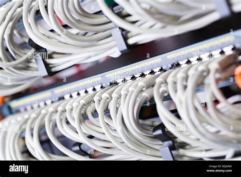 Gigabit Network Switch And Perfect Aligned Patch Cables In Datacenter Stock Photo Alamy