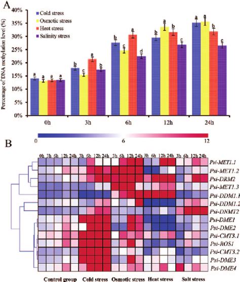 Genomic Dna Methylation Levels And Dna Methylation Related Gene Download Scientific Diagram