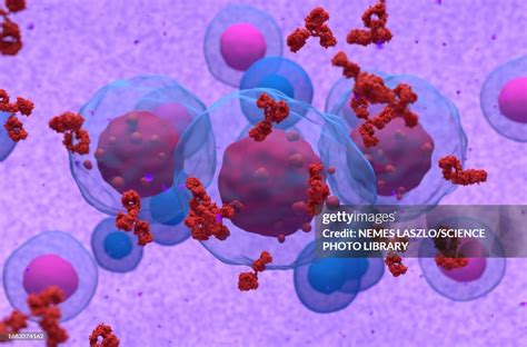 Multiple Myeloma Cell Emitting Paraprotein Illustration High Res Vector