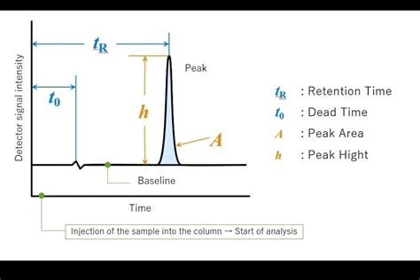 🔶️what Is Purging And Degassing In Hplc Purging And Degassing In Hplc Are Crucial Steps To