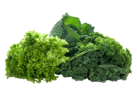 Kangkung Gambar Png File Vektor Dan Psd Unduh Gratis Di Pngtree