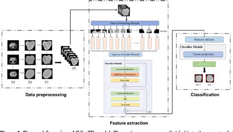 Figure 2 From Mvi Tr A Transformer Based Deep Learning Model With