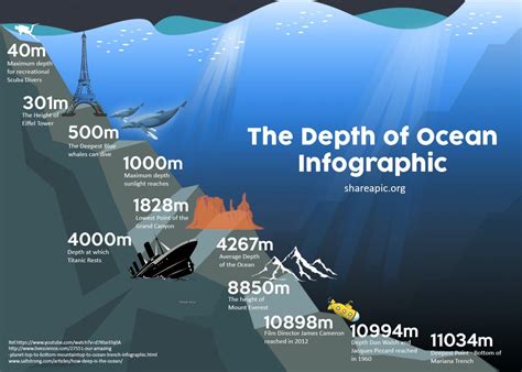The Depth Of Ocean Infographic