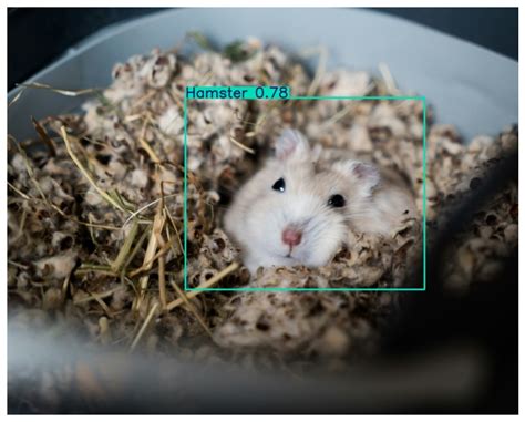 Training Object Detection Models For Imgproxy Imgproxy Blog