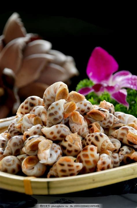 美食图片 中餐美食 餐饮美食 图行天下素材网