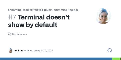 Terminal Doesnt Show By Default · Issue 7 · Shimming Toolboxfsleyes