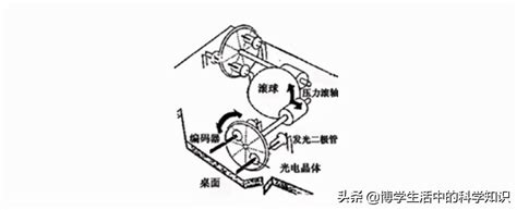 鼠标结构分析 鼠标的结构图和工作原理 技术文章