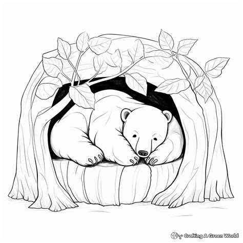 Bear Hibernation Coloring Pages