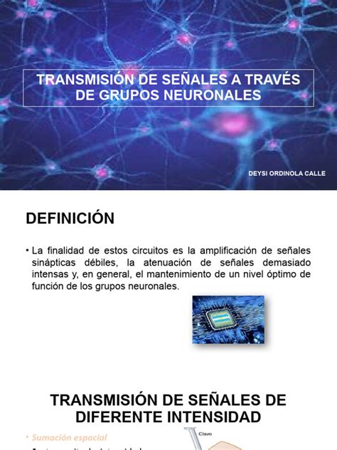 Redes Neuronales Pdf Neurona Sinapsis