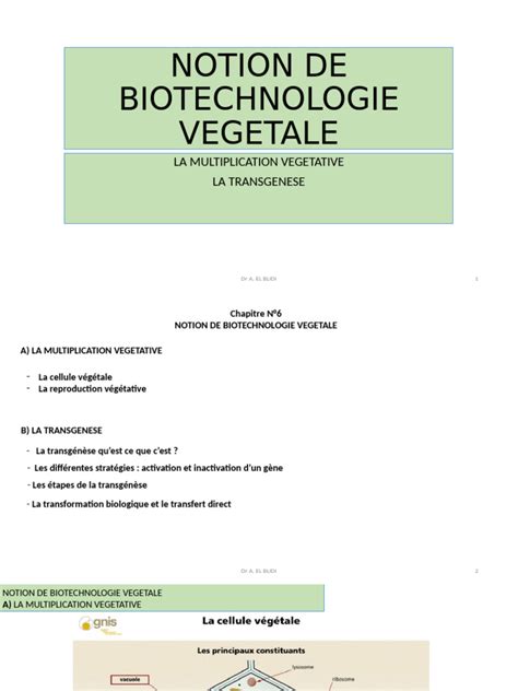 La Transgenese 1 Pdf