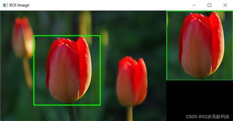 Opencv快速入门：绘制图形、图像金字塔和感兴趣区域opencv 图形绘制练习 Csdn博客