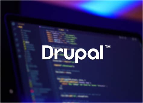 Drupal Development Services Innowise