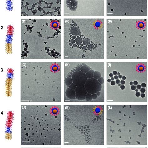 Pdf Self Assembly Of Luminescent Triblock Bottlebrush Copolymers In