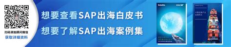 Sap Erp出海解决方案，工博科技为中国企业海外营销提供sap实施服务