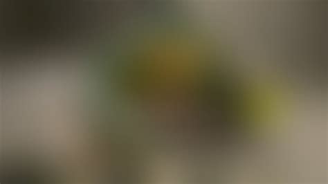 Princess Leia And Jabba The Hutt Pn34 Rrule34celeb