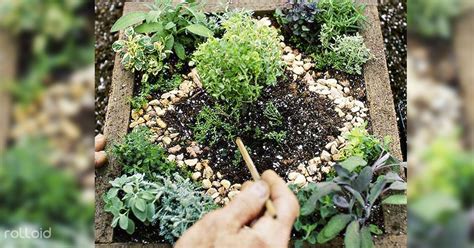 6 Pasos Para Crear Tu Propio Bosque En Miniatura En Menos De Una Hora