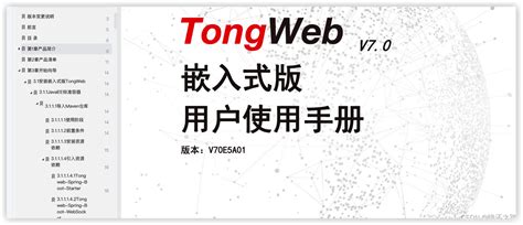 Java 服务接入「东方通（tongweb）」东方通部署jar Csdn博客