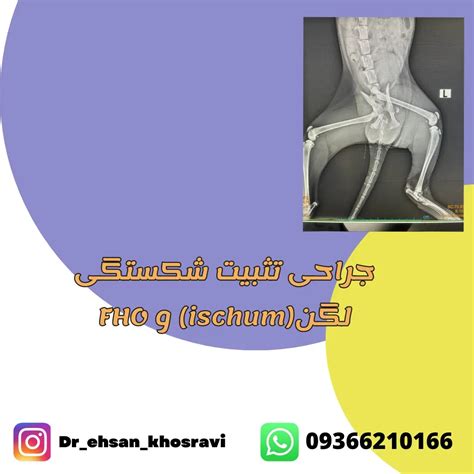 ‎دکتر احسان خسروی‎ Drehsankhosravi • Instagram Photos And Videos