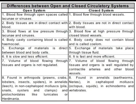 Open Vs Closed Circulatory Systemdifference Between Open