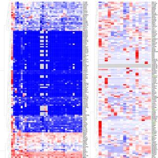 Core CT Gene Expression In Testis Somatic Tissues And Cancer A A Download Scientific