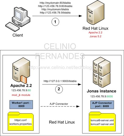 How To Configure The Module Modjk With Apache And Jonas Celinios Technical Blog Learning