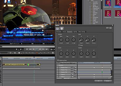 Transitions DVC Training