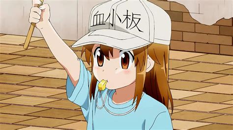 工作细胞：可爱暴击，血小板封路 英语趣配音