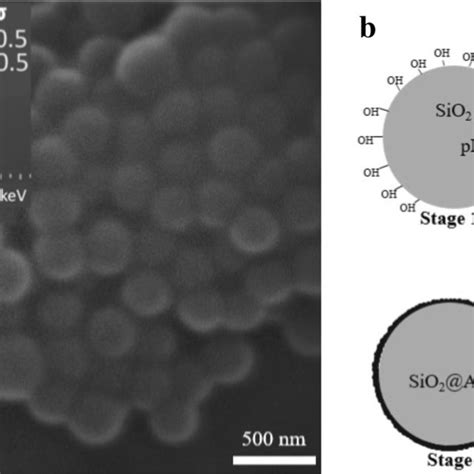 A Sem Micrograph Of Sio2 Spheres Synthesized With 65 Ml Of Ammonium