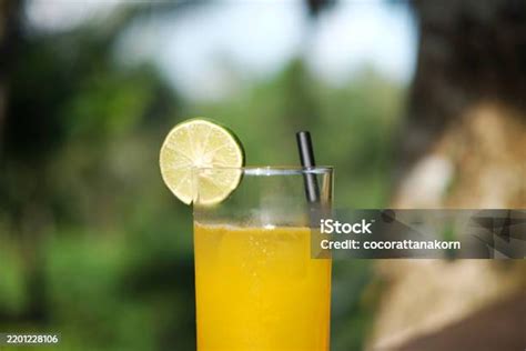 신선한 얼음 한 잔 오렌지 주스 과일 레몬 조각 자연 채광과 열대 정원 과일에 대한 스톡 사진 및 기타 이미지 과일 관광 리조트 낮 Istock