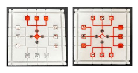 Optics And Photonics News Detecting Pathogens With 3d Printed Sensors