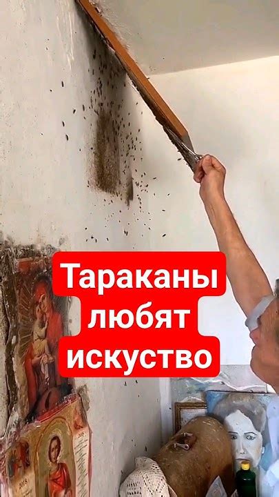ааа нет ААААА 😱 тараканы трешобзор дезинфекция Youtube