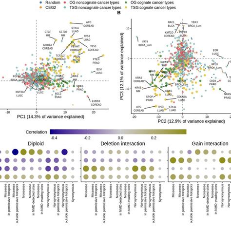 PCA Analysis Of Selection Effects Across Cancer Types And Mutation Download Scientific Diagram