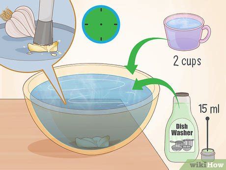 3 Ways To Get Rid Of Aphids On Roses Organically WikiHow