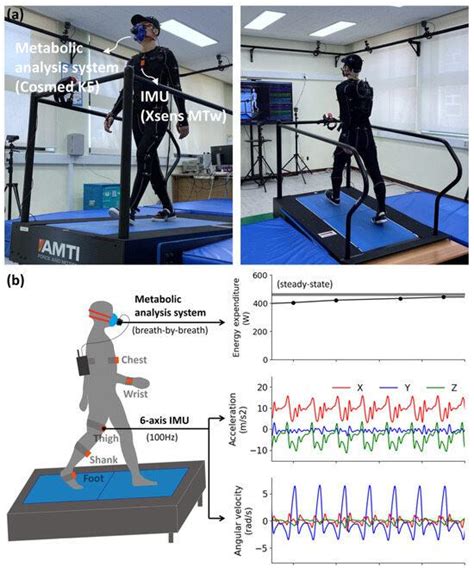 Imu Based Energy Expenditure Estimation For Various Walking Conditions… Sensors Mdpi
