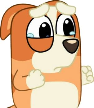 Bingo On Bluey Fc Deviantart