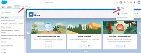record types in salesforce salesforce faqs