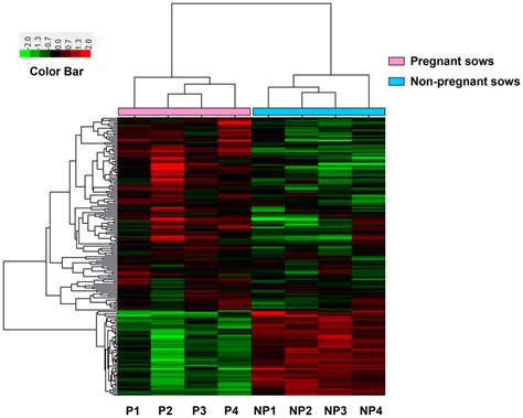 A Heatmap Of Differentially Expressed Genes Between The Pregnant And