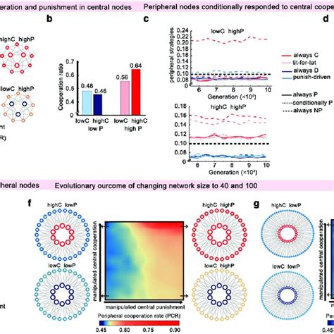 Evolution Of Peripheral Cooperation When Central Nodes Vary In Download Scientific Diagram