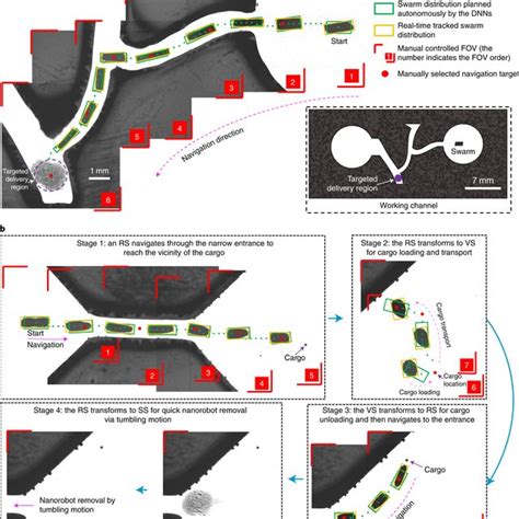 Task Execution Using Autonomy Level 3 A Targeted Delivery Of A Swarm