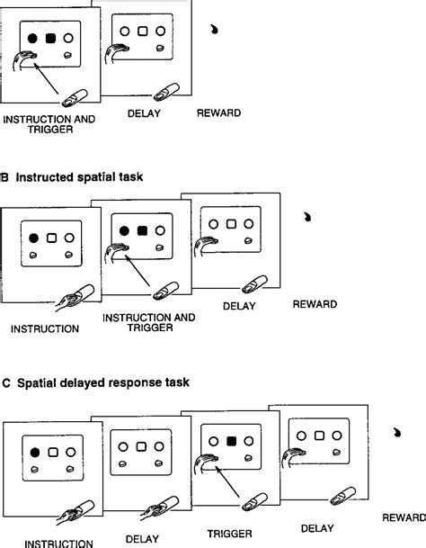 Figure 1 From A Neural Network Model With Dopamine Like Reinforcement