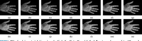Figure 1 From Multimodal Biometric Recognition Based On 3d Ultrasound