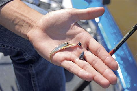 3 Strategies For Spawning Crappie Carolina Sportsman