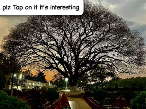 Ayush Ranjan On Linkedin Technology Beauty