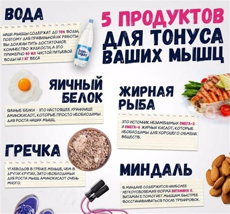 5 ПРОДУКТОВ ДЛЯ ТОНУСА ВАШИХ МЫШЦ 1 Вода Наши мышцы содержат до 70 воды поэтому для