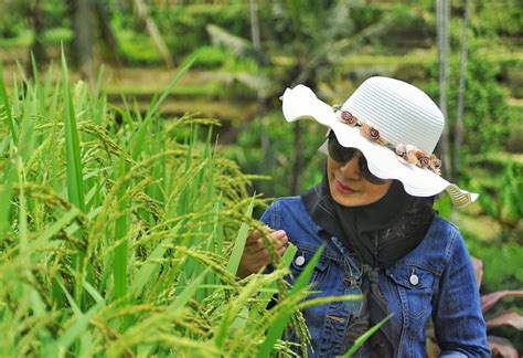 Premium Photo Woman Wearing Hat On Padi Field