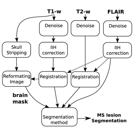 4 Proposed Workow For The Automatic Segmentation Of Ms Lesions