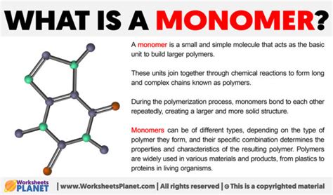What Is A Monomer Definition Of Monomer